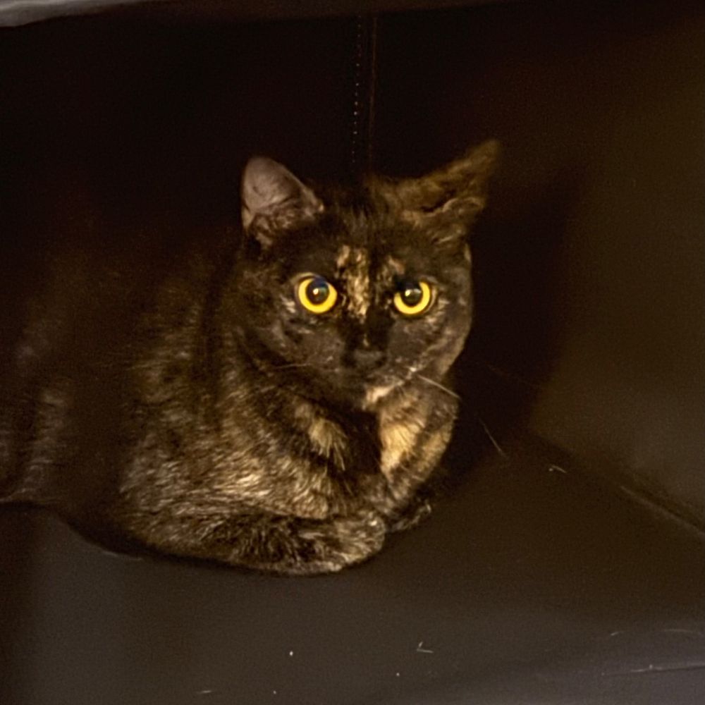 ‎uncle_dad’s profile • Letterboxd