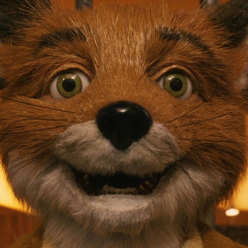 ‎Isabella’s profile • Letterboxd