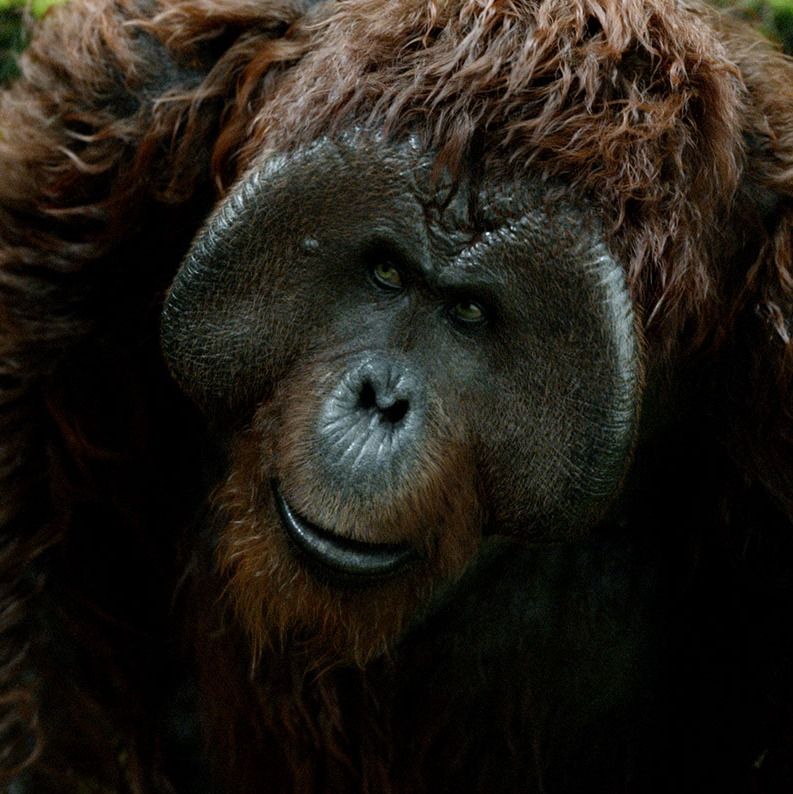 ‎Ben Walker’s profile • Letterboxd