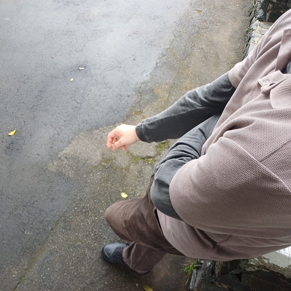 ‎Alberto Warmling’s profile • Letterboxd