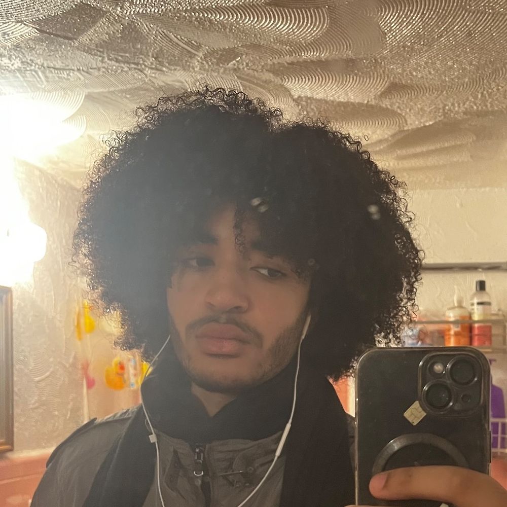 ‎Alessio Li Fraine’s profile • Letterboxd