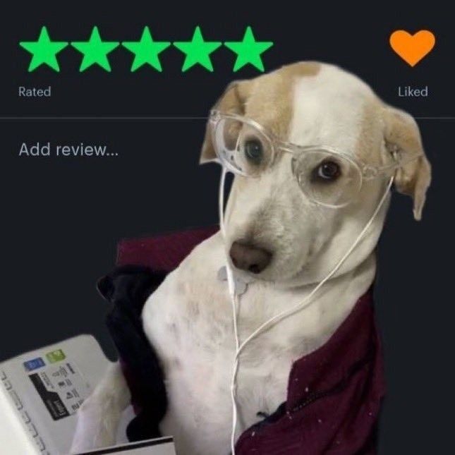 ‎di_did’s profile • Letterboxd