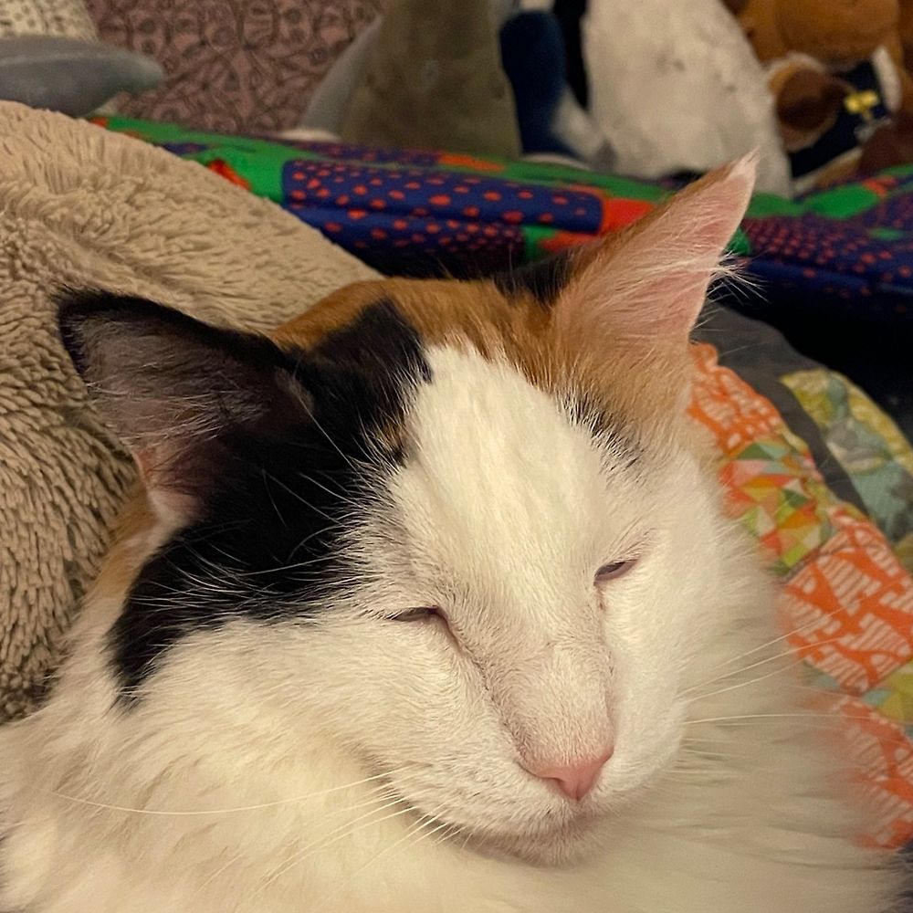 ‎gracce’s profile • Letterboxd