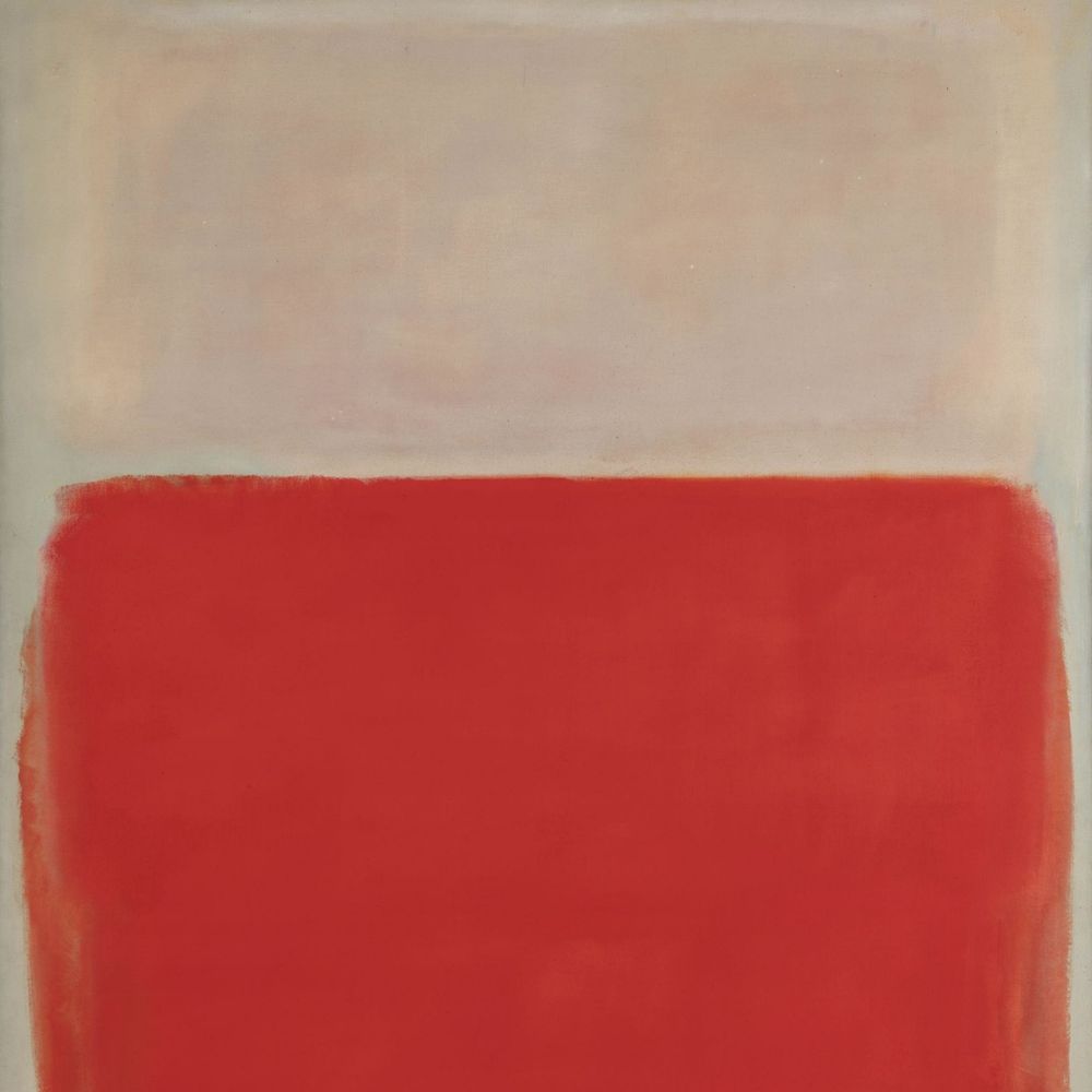 ‎millad’s profile • Letterboxd