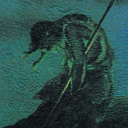 ‎Zach Riley’s profile • Letterboxd