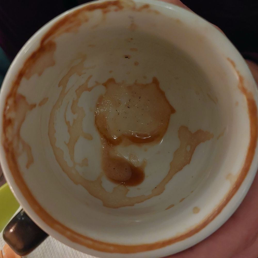 ‎shushy’s profile • Letterboxd