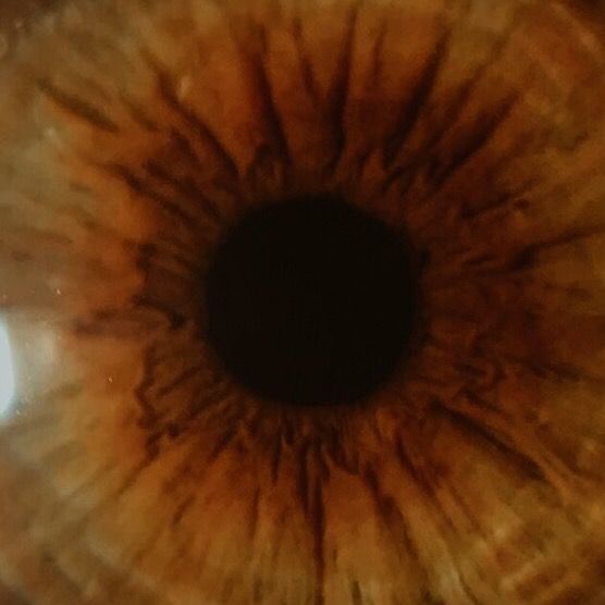 ‎gozde’s profile • Letterboxd