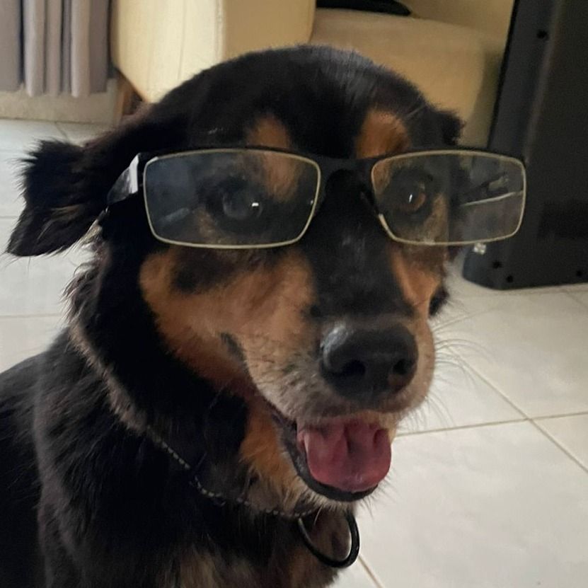 ‎Kutukobra’s profile • Letterboxd