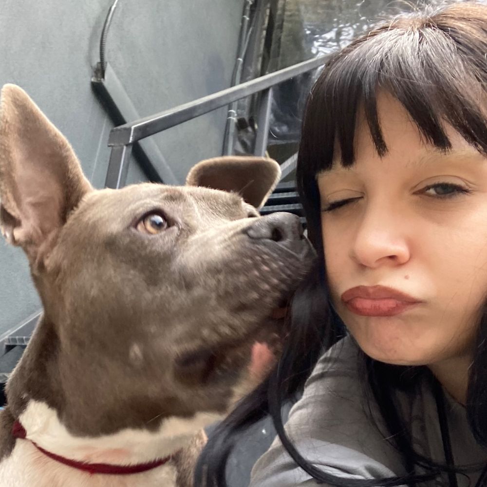 ‎shinile’s profile • Letterboxd