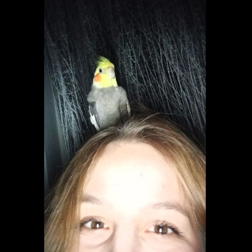 ‎iil_’s profile • Letterboxd