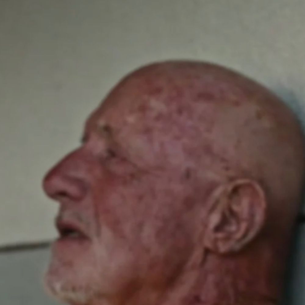 ‎Alex Knox’s profile • Letterboxd