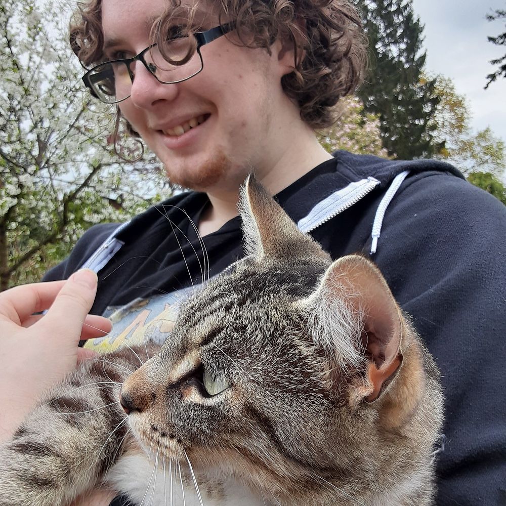 ‎Dabib_bowbie’s profile • Letterboxd