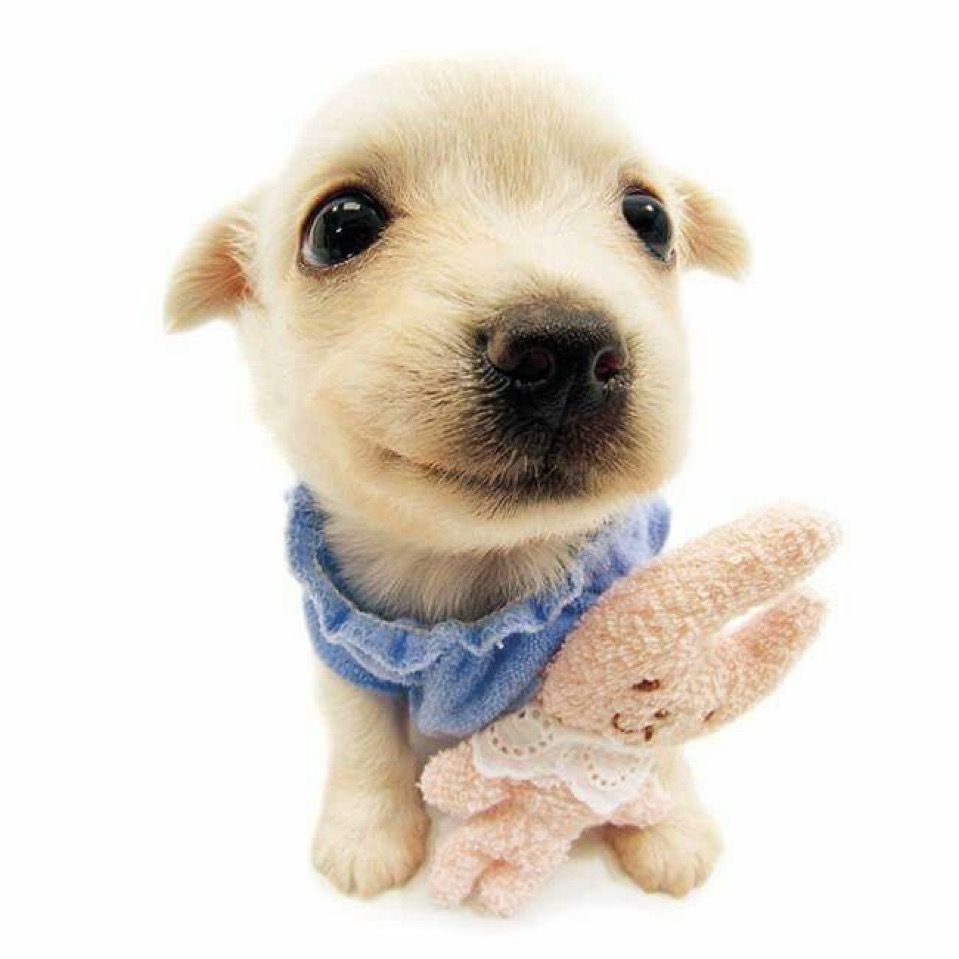 ‎ana_trainotti’s profile • Letterboxd