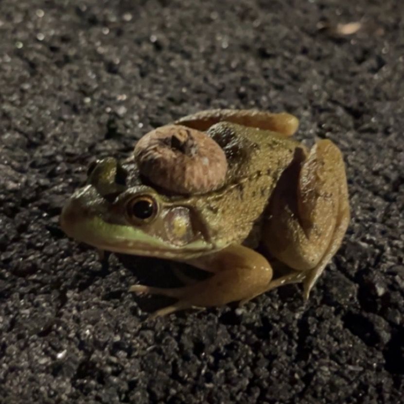 ‎michael_wentzel’s profile • Letterboxd