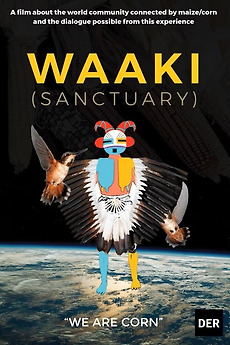 ‎Sanctuary (2019) directed by Victor Masayesva Jr. • Film + cast • Letterboxd