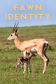 ‎Fawn Identity (2022) directed by Alan Miller • Reviews, film + cast ...