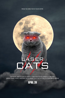 laser cats 4