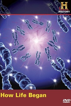 ‎How Life Began (2009) directed by Luke Ellis • Reviews, film + cast ...