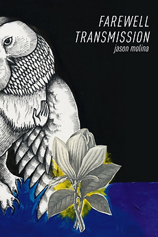 ‎Jason Molina - Farewell Transmission • Film + cast • Letterboxd