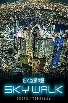 ‎8K Aerial Night View:Sky Walk Tokyo and Yokohama (2021) • Film + cast ...