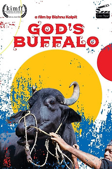 ‎God's Buffalo (2021) directed by Bishnu Kalpit • Film + cast • Letterboxd