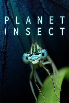 ‎Planet Insect (2022) • Reviews, film + cast • Letterboxd