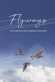 ‎Flyways (2023) directed by Randall Wood • Reviews, film + cast ...