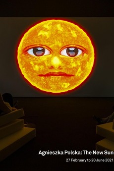 ‎The New Sun (2017) directed by Agnieszka Polska • Reviews, film + cast ...