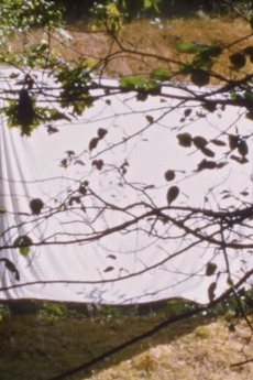 ‎White Screen (for Amy Halpern) (2022) directed by Deneb Martos, Pablo ...