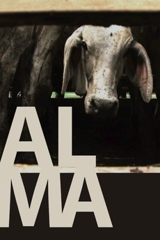 ‎Alma (2011) directed by Patrick Rouxel • Film + cast • Letterboxd