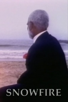 ‎Snowfire (1994) directed by Ayoka Chenzira • Reviews, film + cast ...