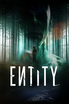 entity 2013