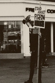 ‎PIGEON MAFIA TAKES OUT THE TRASH directed by Lily Sharp • Film + cast ...