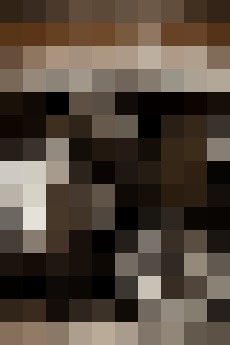 ‎Mafia Girls (1975) directed by Norbert Meisel • Reviews, film + cast ...