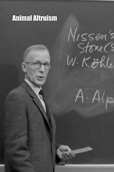 ‎Animal Altruism (1965) directed by Arthur Lipsett • Film + cast • Letterboxd