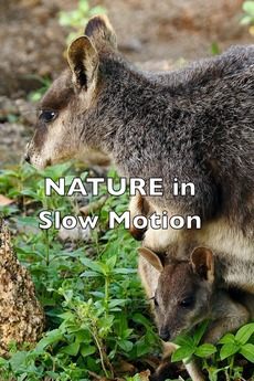 ‎Nature In Slow Motion (2023) directed by Carlo Ferraro • Film + cast ...