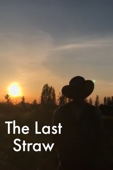 ‎The Last Straw (2020) directed by Adam Corey, Caleb Lisitsin • Film ...