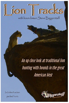 ‎Lion Tracks (2009) directed by Steve Biggerstaff • Reviews, film ...