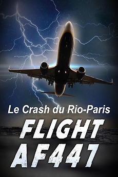 ‎Vol AF 447, Le crash du Rio-Paris (2015) directed by Erica Schramm ...