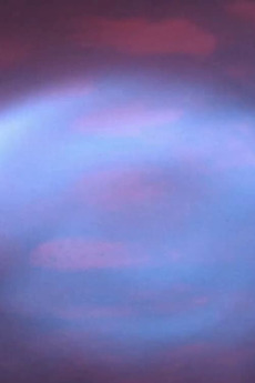 ‎Rat (contaminazione 4) (1972) directed by Cioni Carpi • Film + cast ...