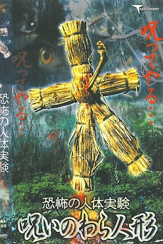 ‎Terrifying Human Experiment: Cursed Straw Doll (2002) directed by ...