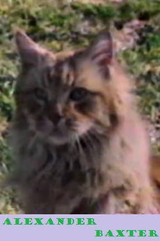 ‎Alexander Baxter (1987) directed by Leonard S. Berman • Reviews, film ...