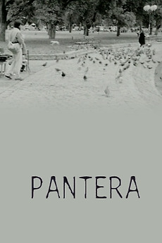 ‎Pantera (1998) directed by Ana Katz, Daniel Katz • Film + cast ...