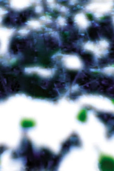 ‎Welcome X (1998) directed by Giovanna Bianco, Pino Valente • Film ...