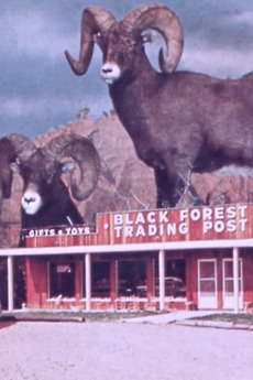 ‎Black Forest Trading Post (1976) directed by Andrew Lugg, Stuart Klein ...