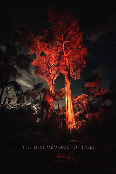 ‎The Lost Memories Of Trees (2023) directed by Antonio La Camera ...