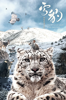‎Snow Leopards and Friends (2023) directed by Xi Zhinong • Reviews, film + cast • Letterboxd