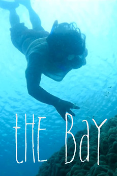 ‎The Bay (2018) directed by Neil Tinkham • Film + cast • Letterboxd