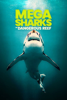 ‎Megasharks of Dangerous Reef (2023) • Reviews, film + cast • Letterboxd