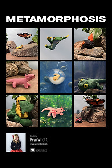 ‎Metamorphosis directed by Bryn Wright • Film + cast • Letterboxd